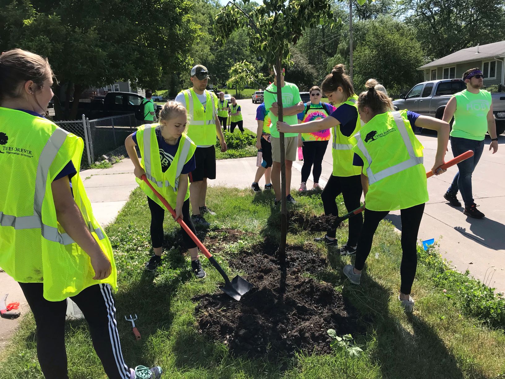 Trees | Resilient Cities and Communities
